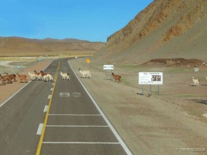 San Pedro de Atacama – pustinja, sunce, prašina i još ponešto | Tripologia